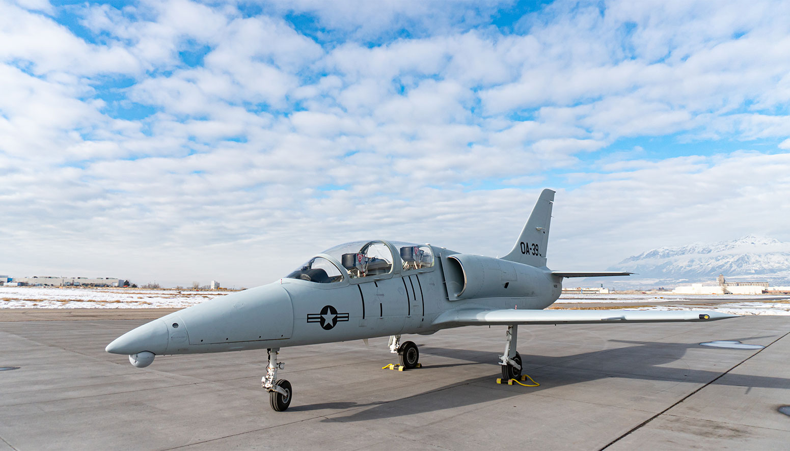 Aero L-39 Albatros & SkyFox Avionics Platform